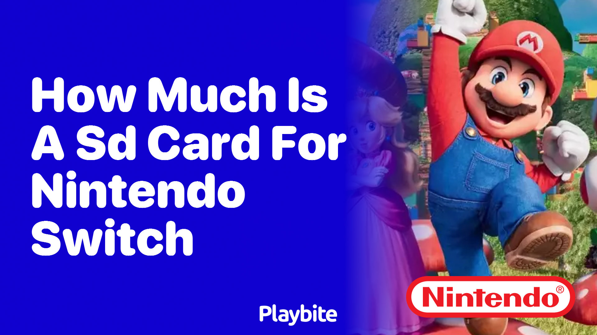How Much Does a SD Card for Nintendo Switch Cost? - Playbite