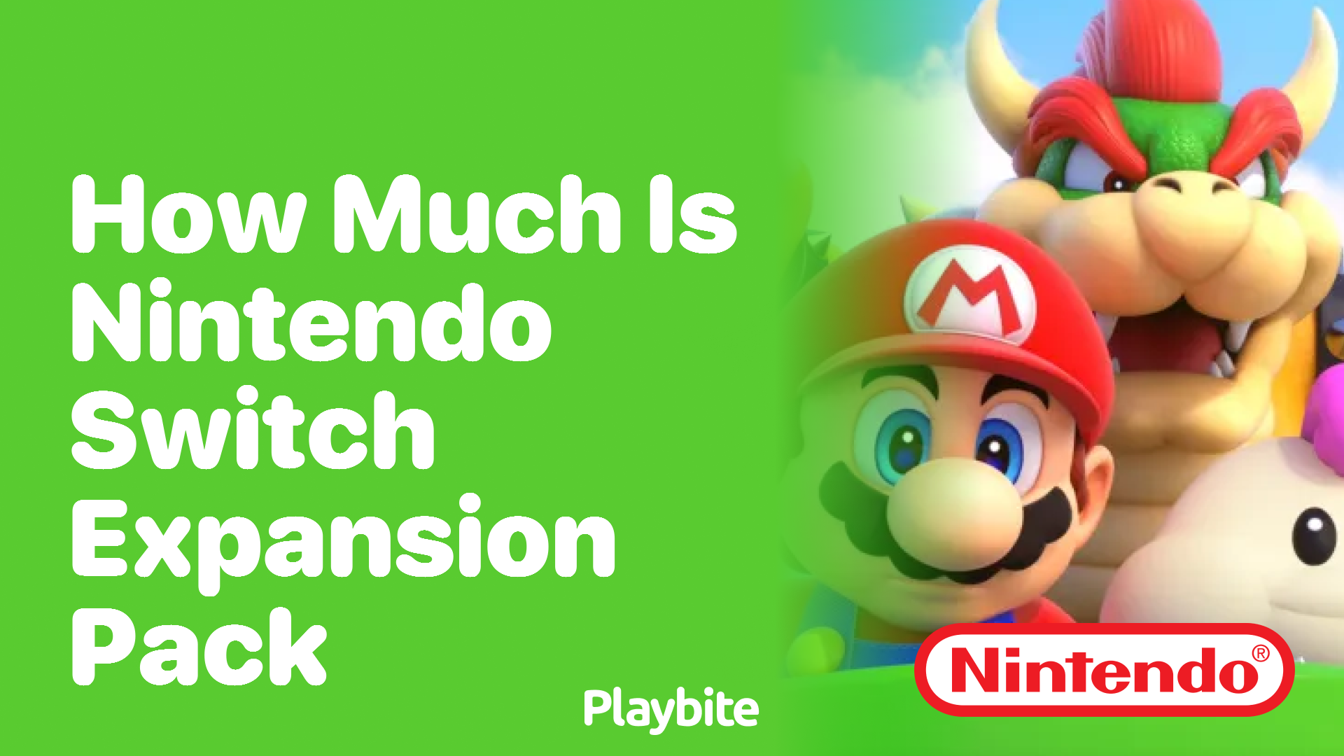 How Much Does the Nintendo Switch Expansion Pack Cost? - Playbite