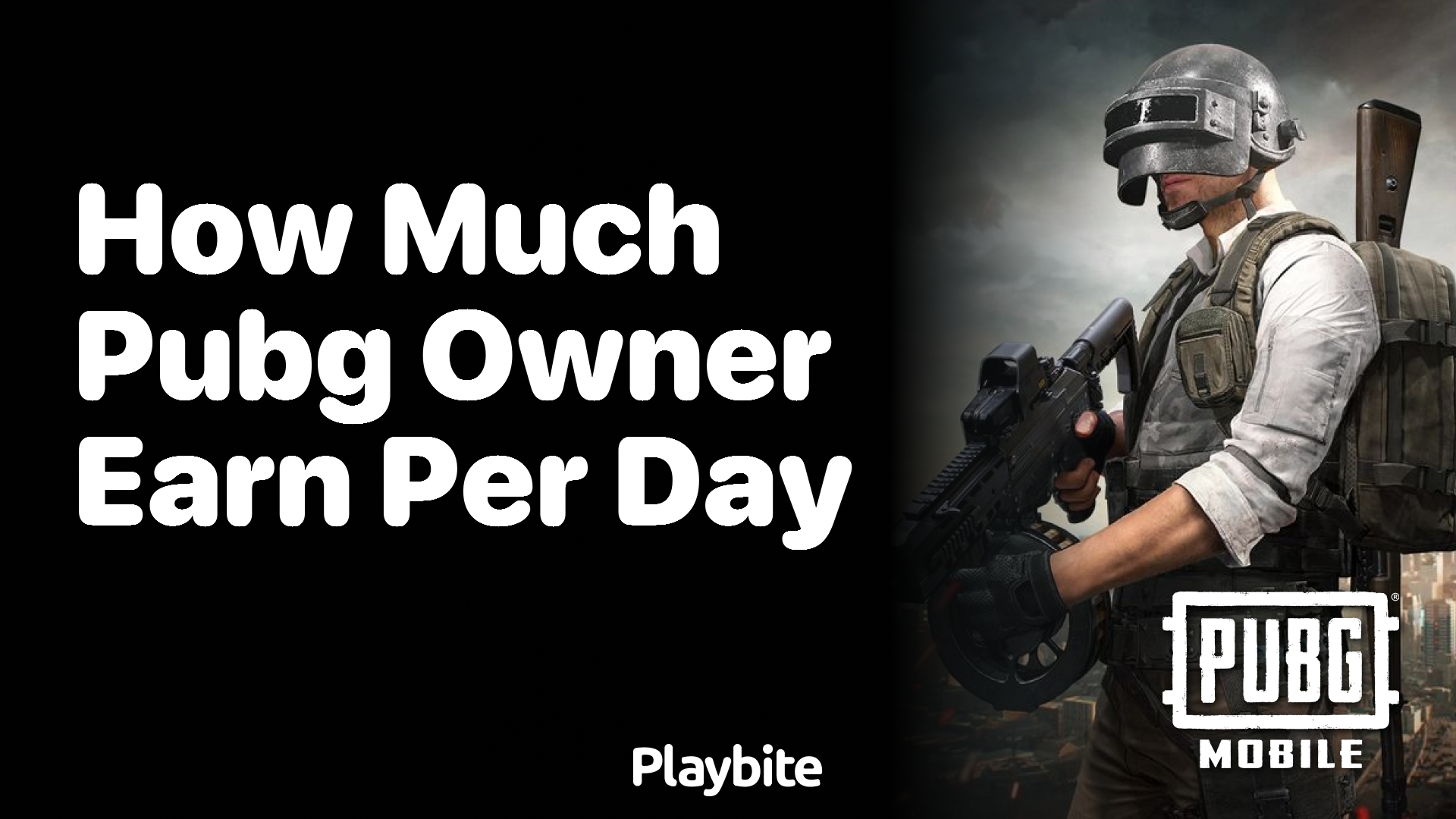 How Much Does the PUBG Owner Earn Per Day? - Playbite