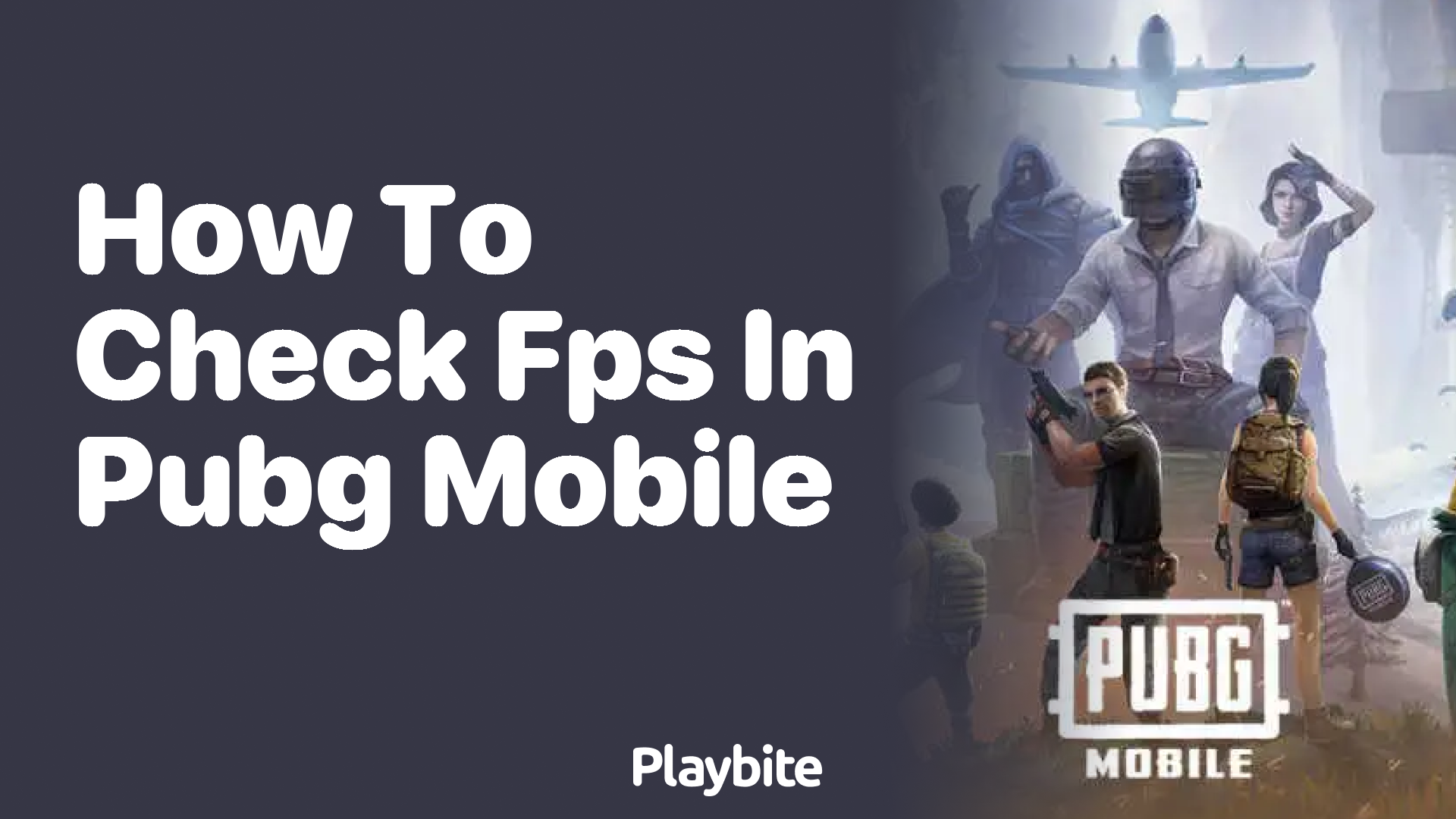 How to Check Your FPS in PUBG Mobile - Playbite