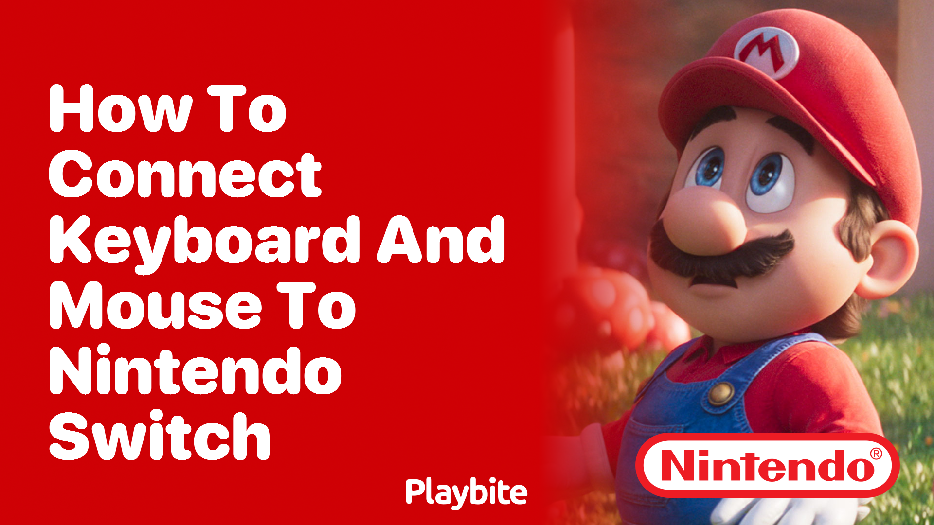 How to Connect a Keyboard and Mouse to Your Nintendo Switch - Playbite