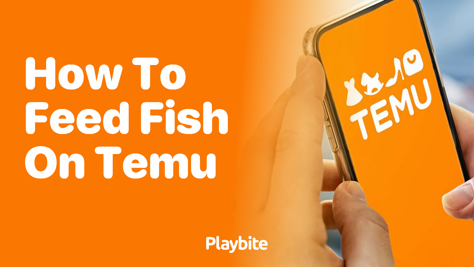 How to Feed Fish on Temu: An Easy Guide - Playbite
