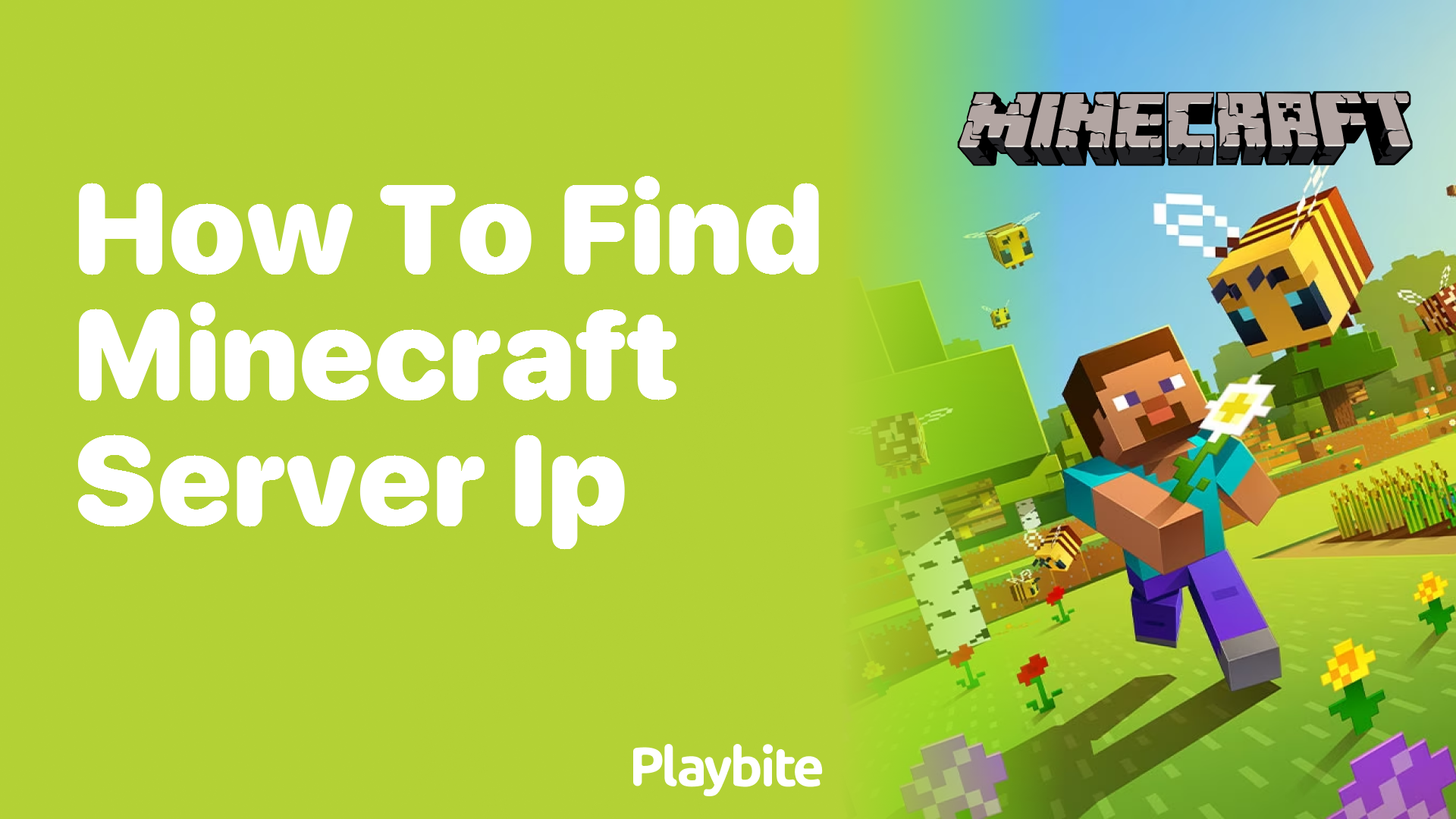 How to Find Your Minecraft Server IP: A Simple Guide - Playbite