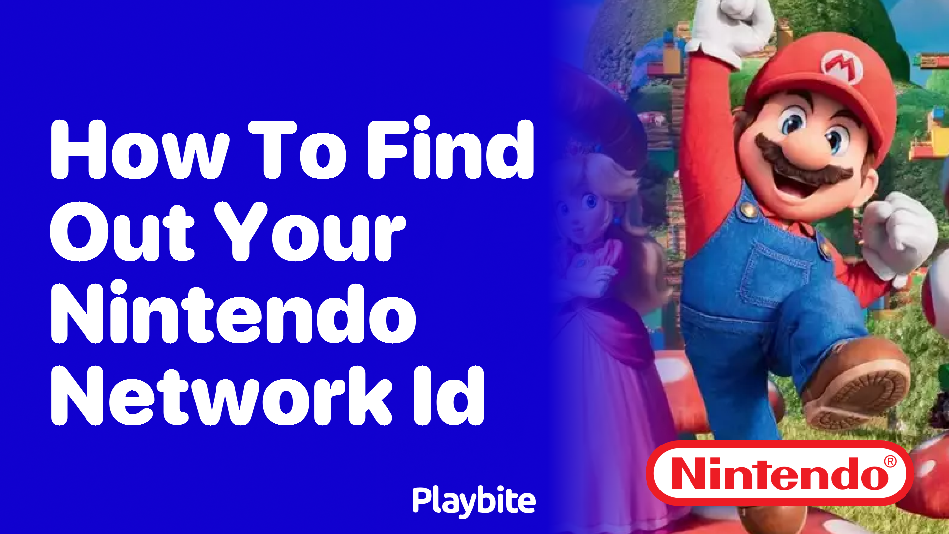 How to Find Out Your Nintendo Network ID - Playbite
