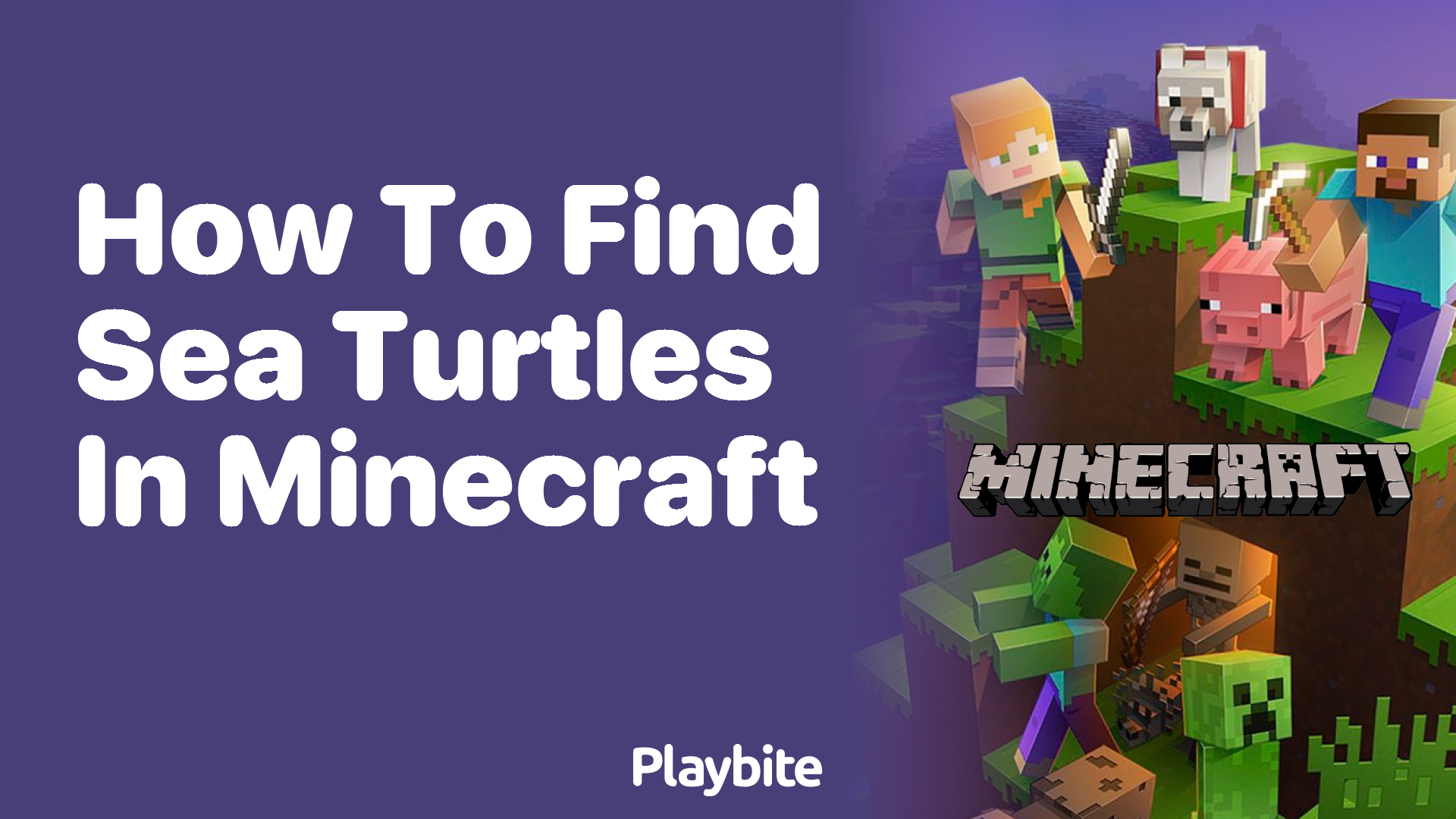 How to Find Sea Turtles in Minecraft: A Quick Guide - Playbite