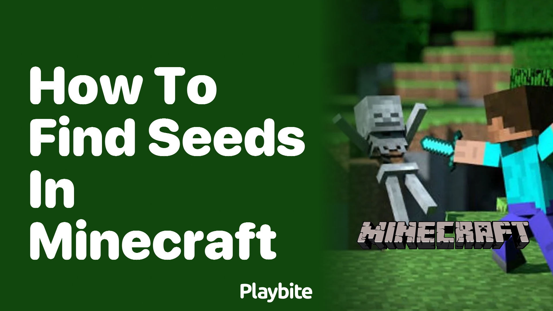 How to Find Seeds in Minecraft: A Gamer’s Guide - Playbite