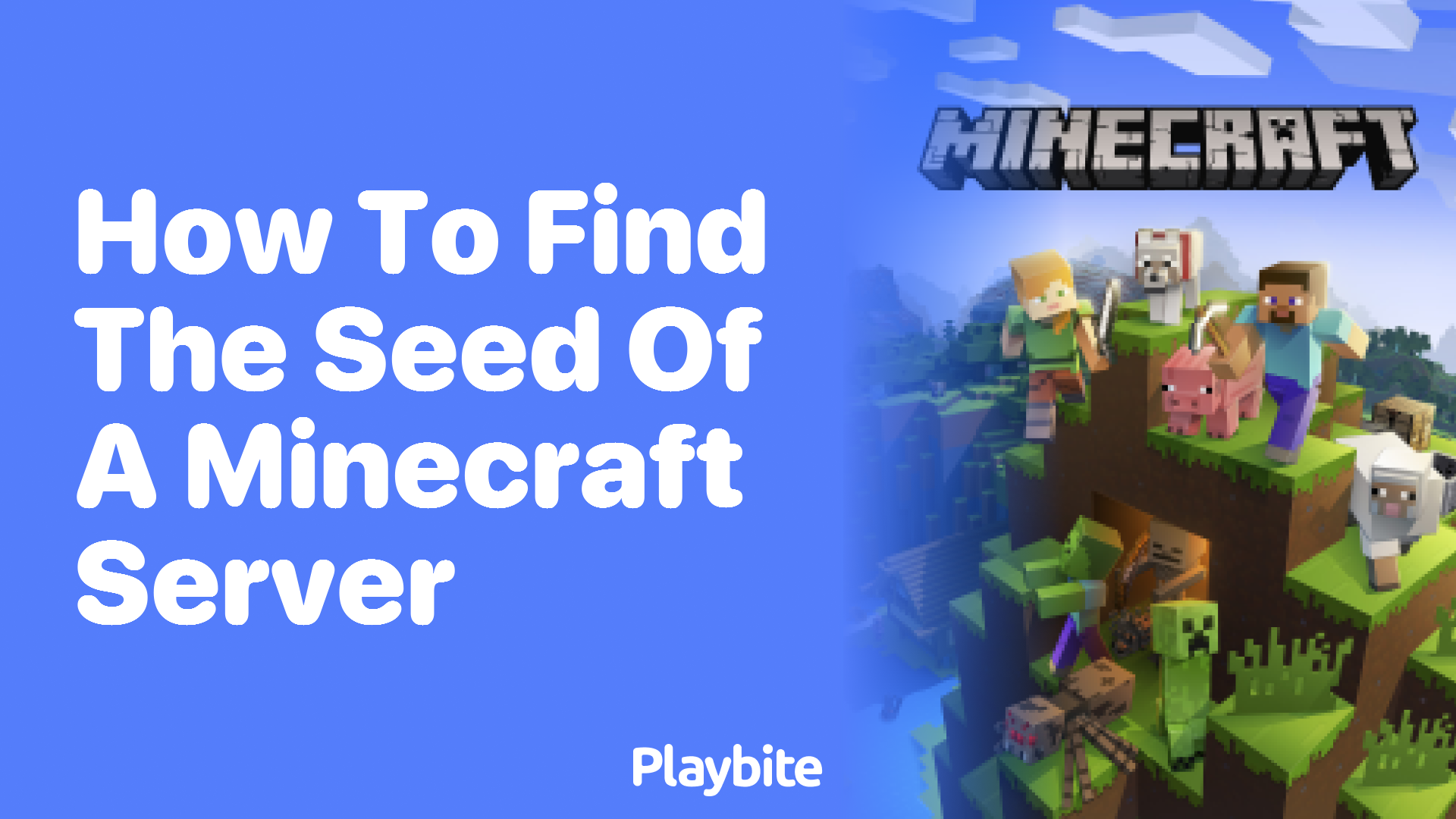 How To Find The Seed Of A Minecraft Server A Simple Guide Playbite