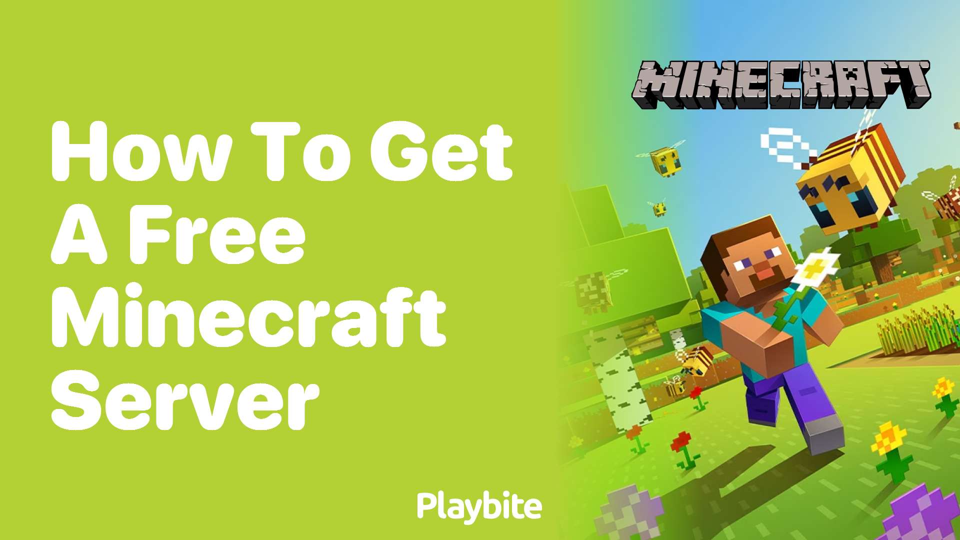 How to Get a Free Minecraft Server - Playbite