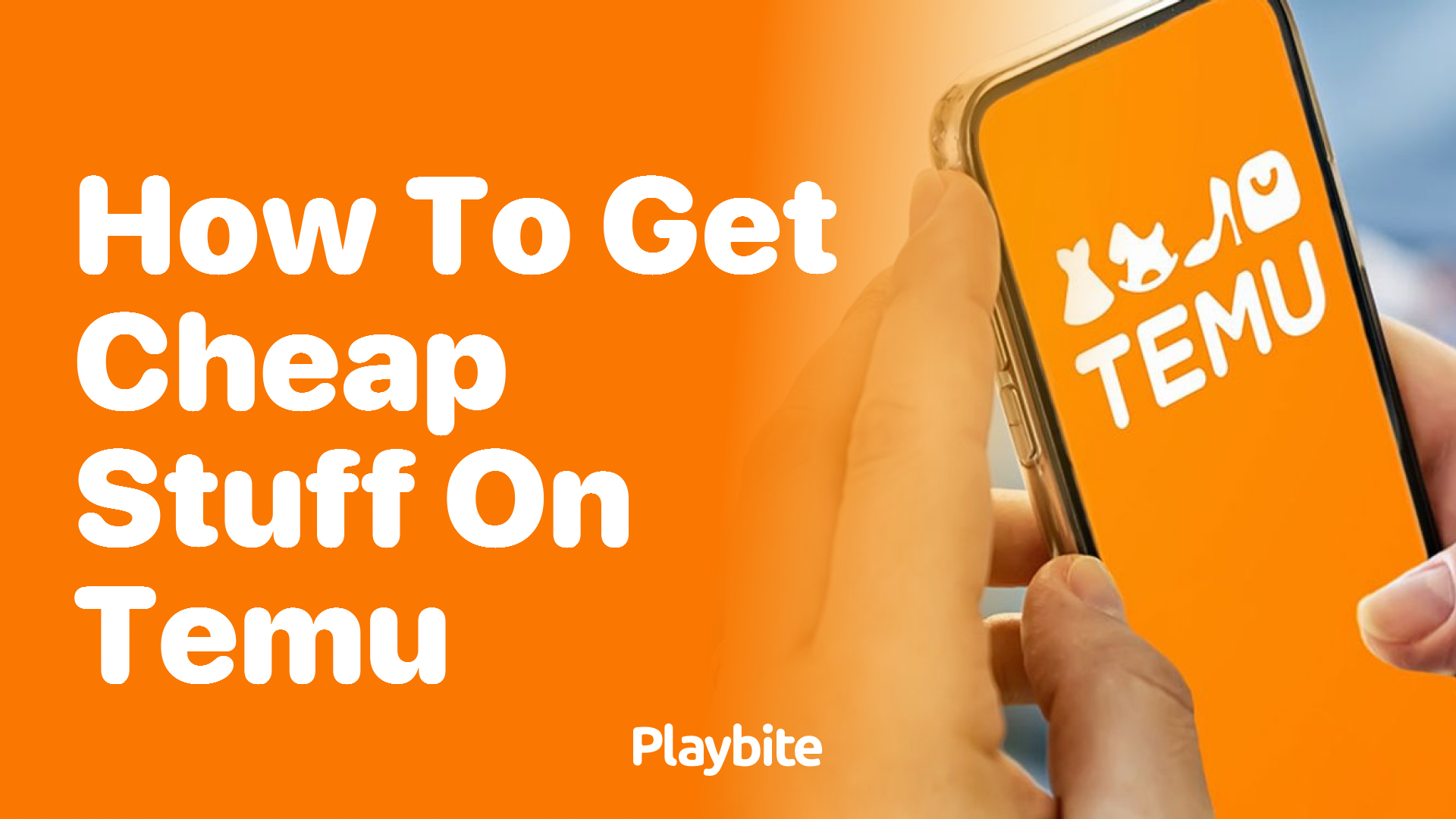 How to Get Cheap Stuff on Temu - Playbite