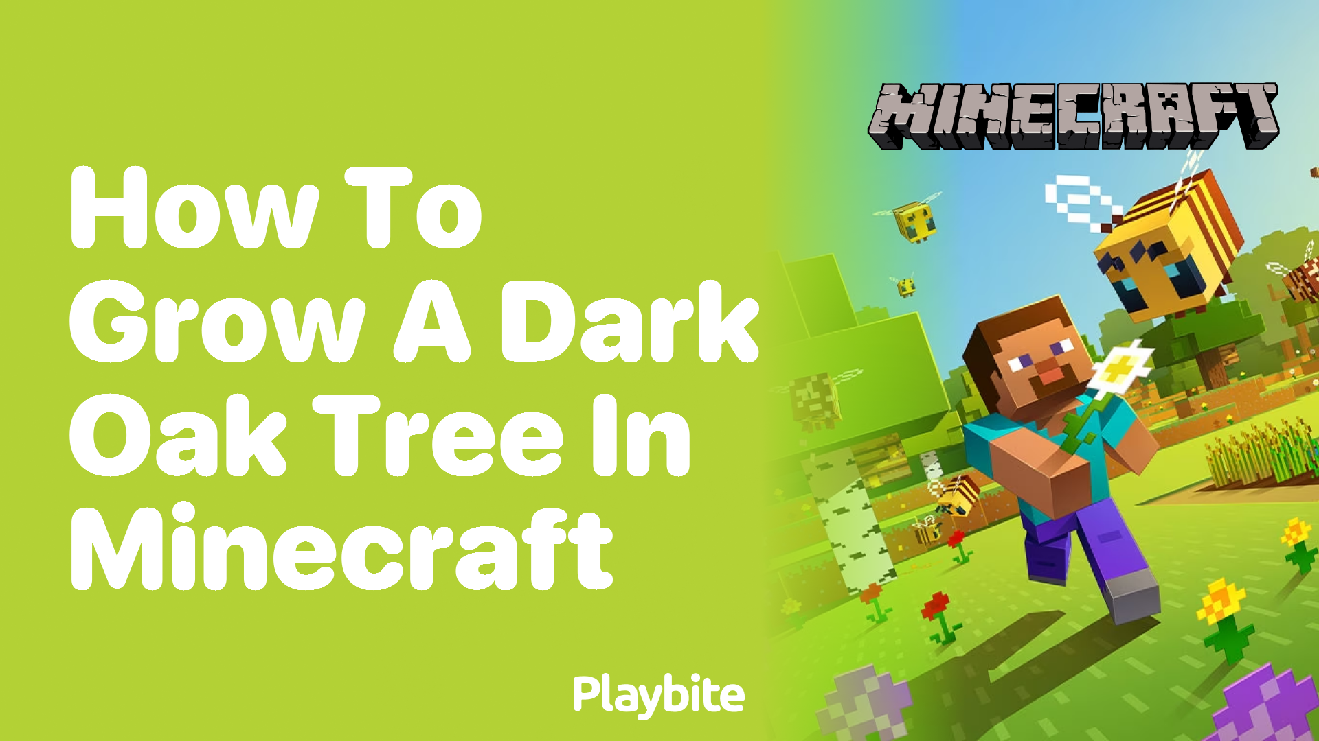 How to Grow a Dark Oak Tree in Minecraft - Playbite