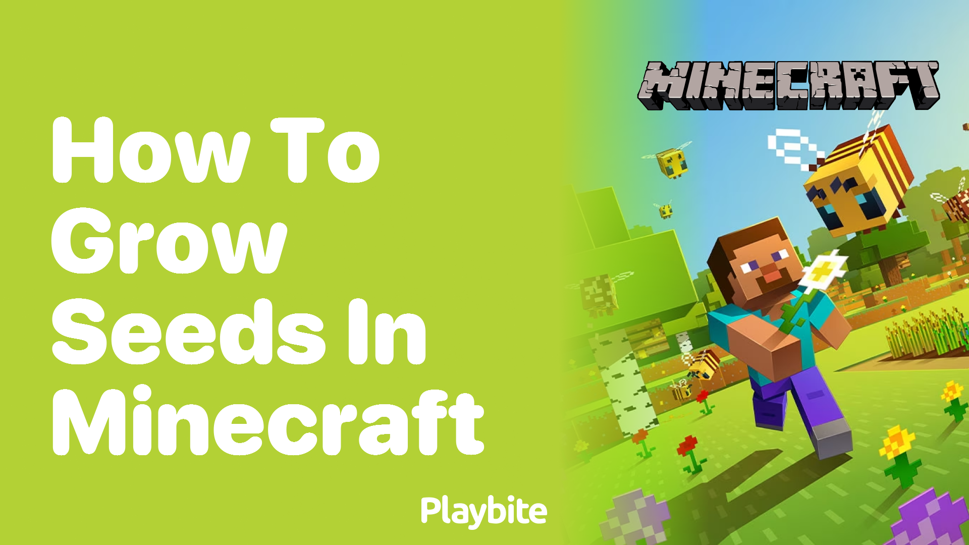How to Grow Seeds in Minecraft: A Beginner's Guide - Playbite