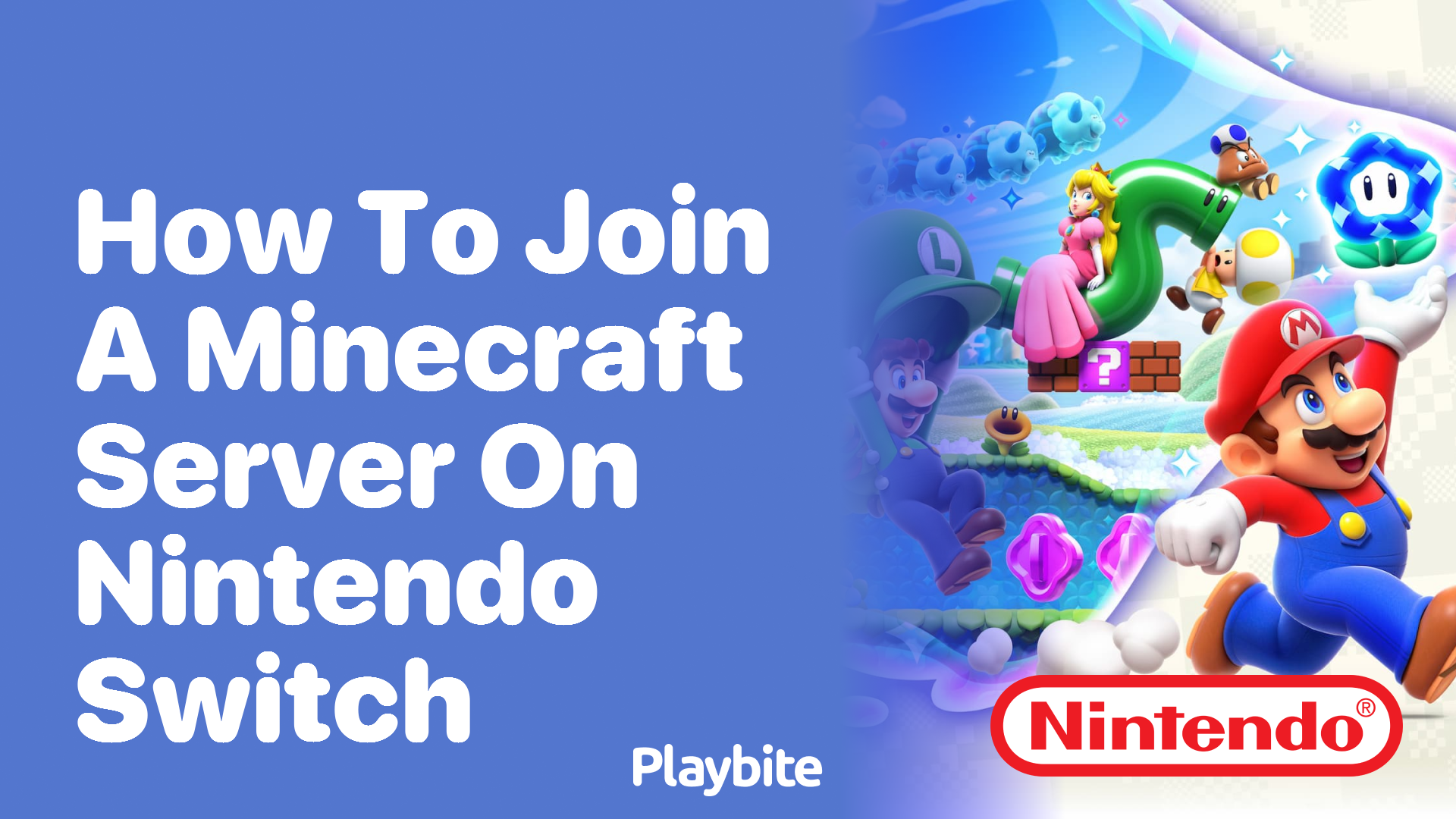 How to Join a Minecraft Server on Nintendo Switch - Playbite