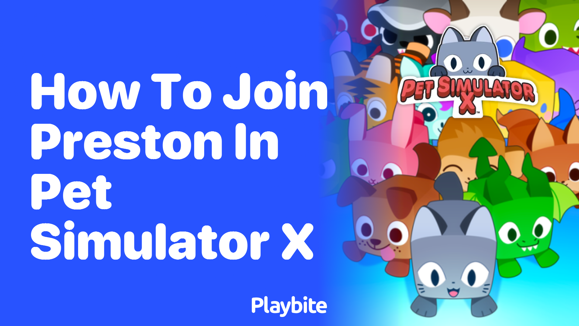 How to Join Preston in Pet Simulator X - Playbite