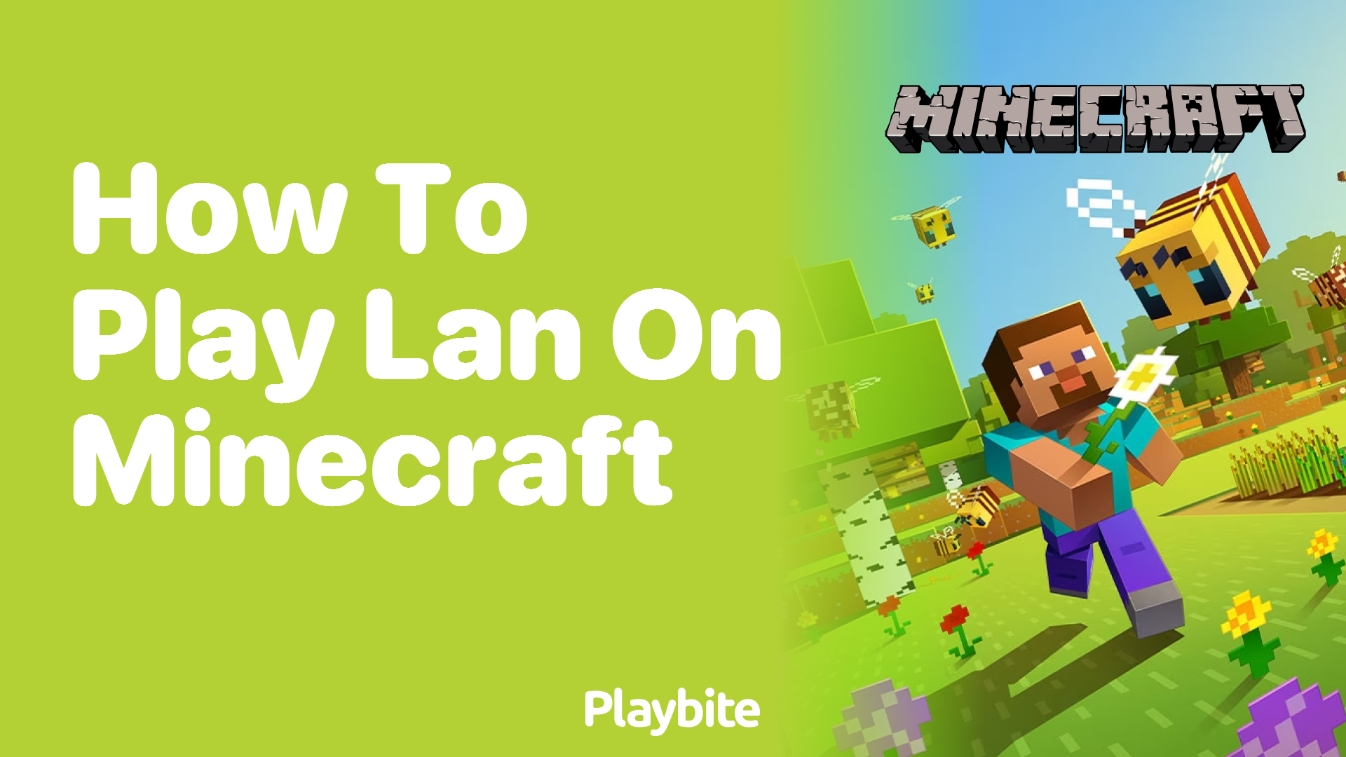 How to Play LAN on Minecraft: A Fun Guide! - Playbite