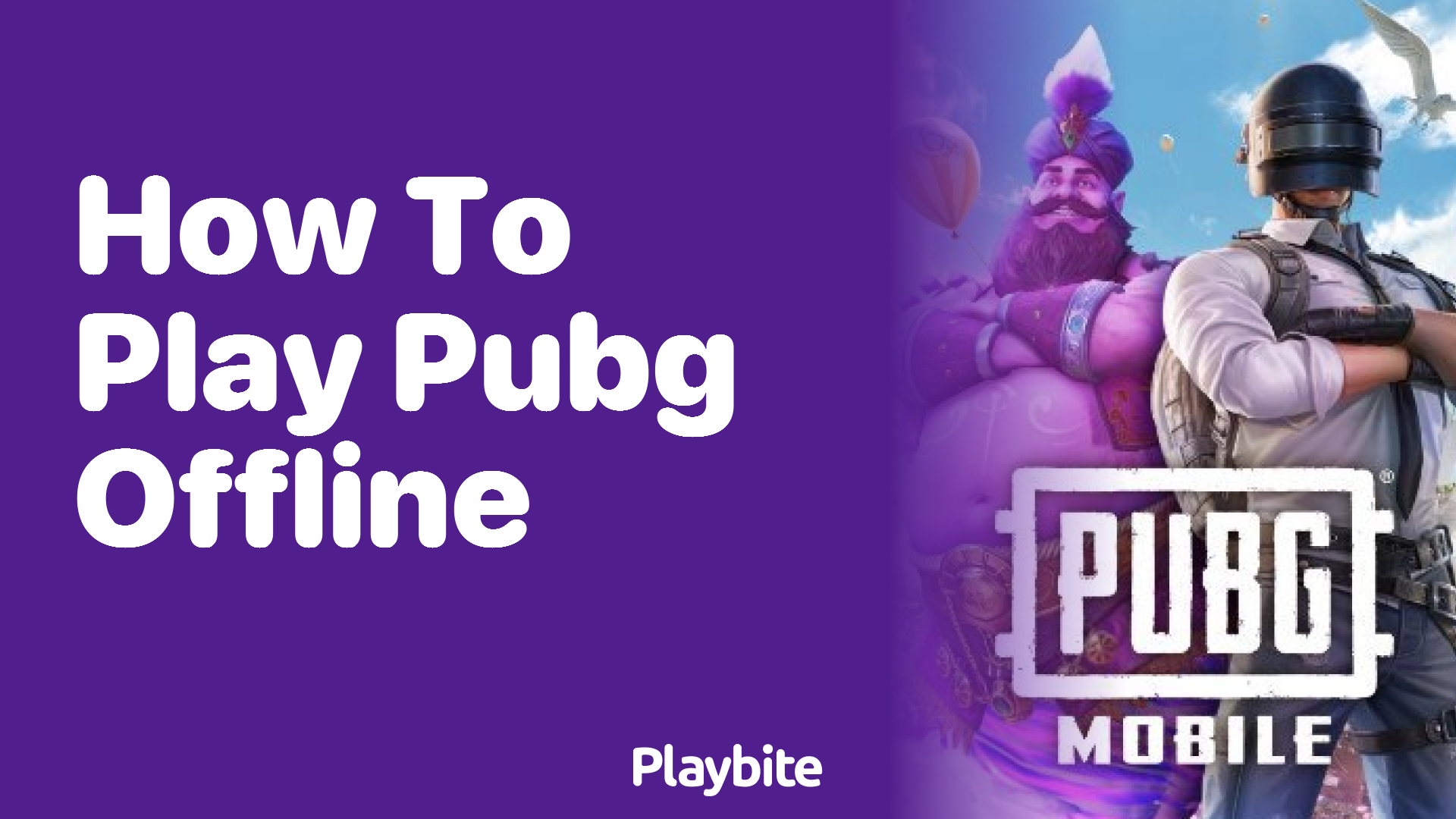 How to Play PUBG Offline? - Playbite