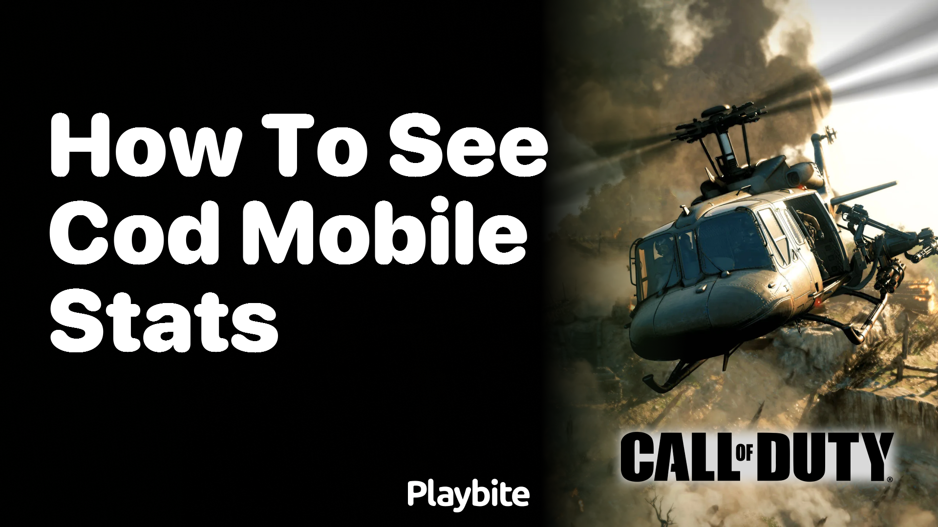 How to See Your COD Mobile Stats Explained - Playbite