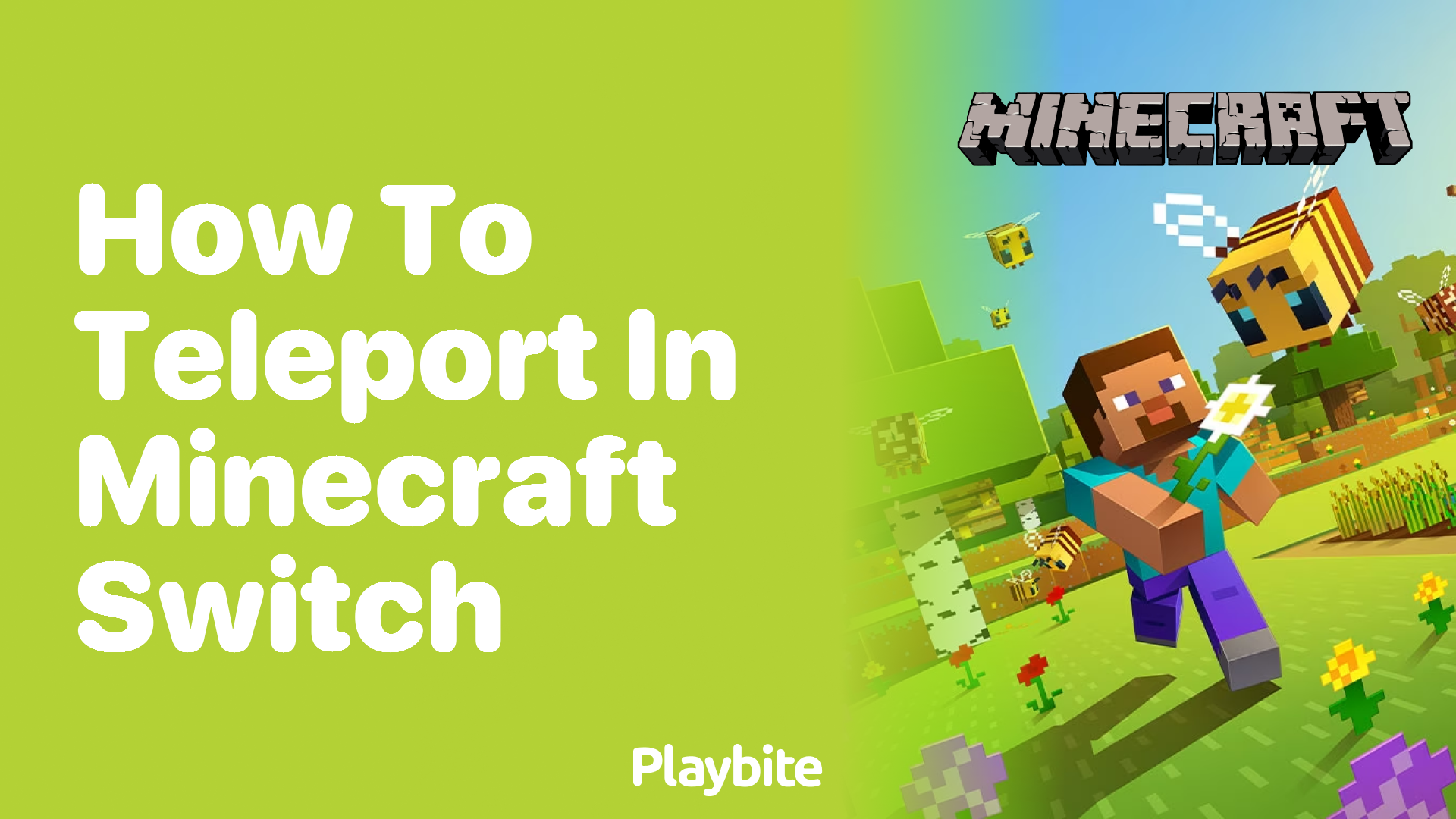 How to Teleport in Minecraft on the Switch - Playbite