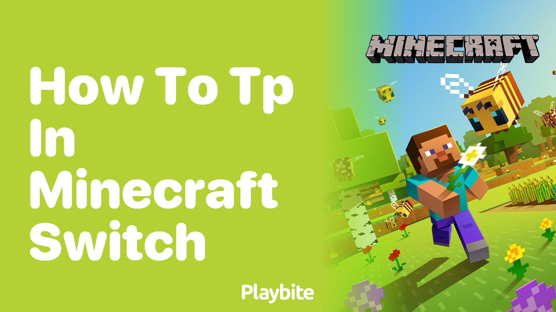 How to TP in Minecraft on the Switch - Playbite