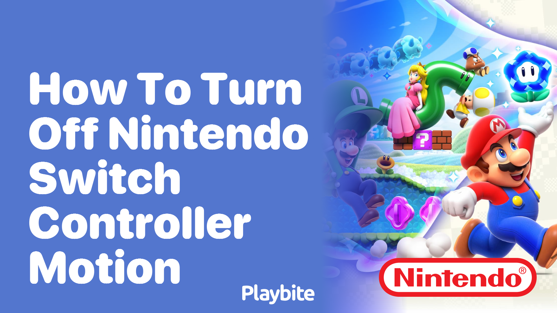 How to Turn Off Motion Controls on Your Nintendo Switch Controller - Playbite
