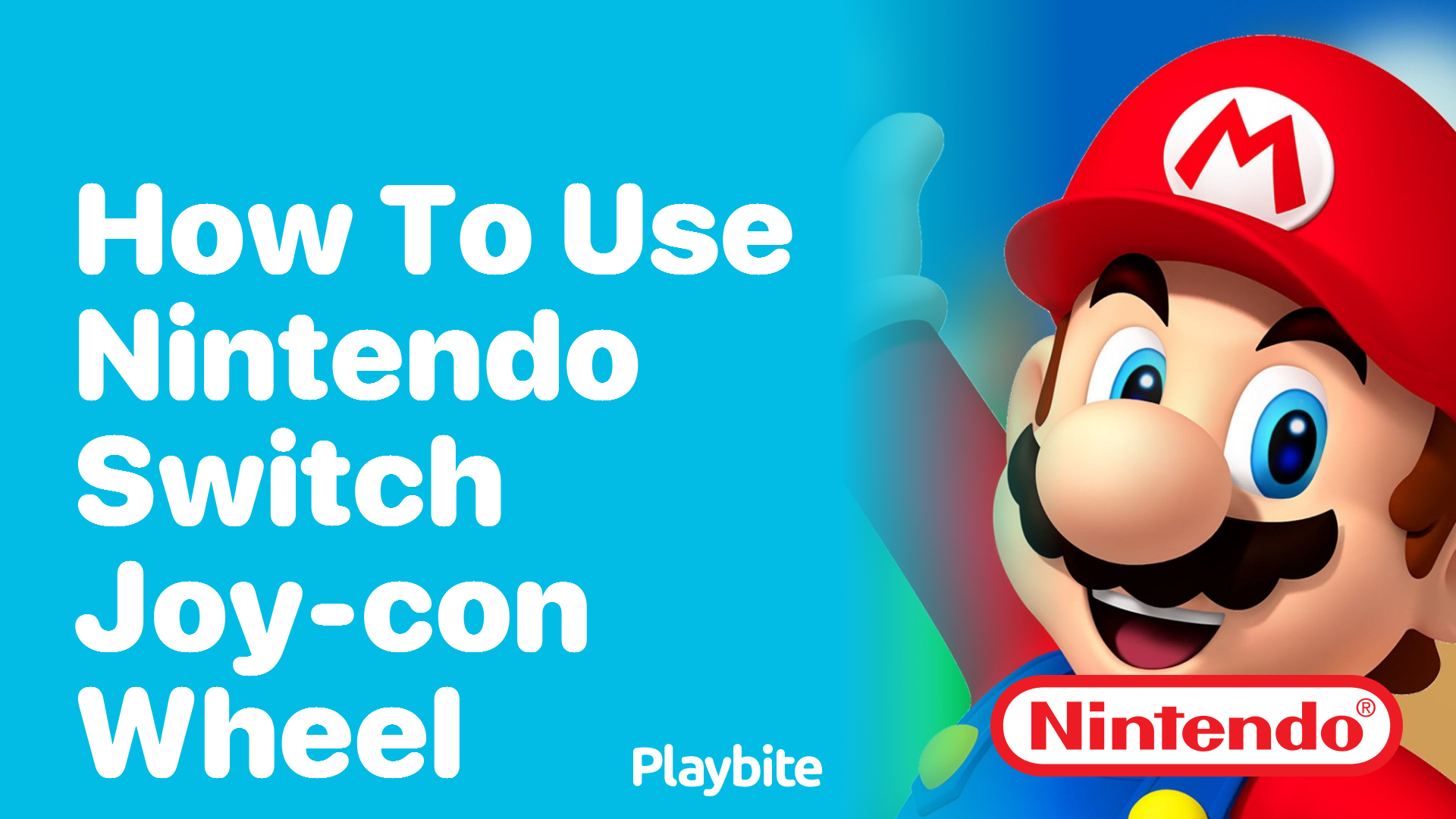 How to Use the Nintendo Switch Joy-Con Wheel - Playbite