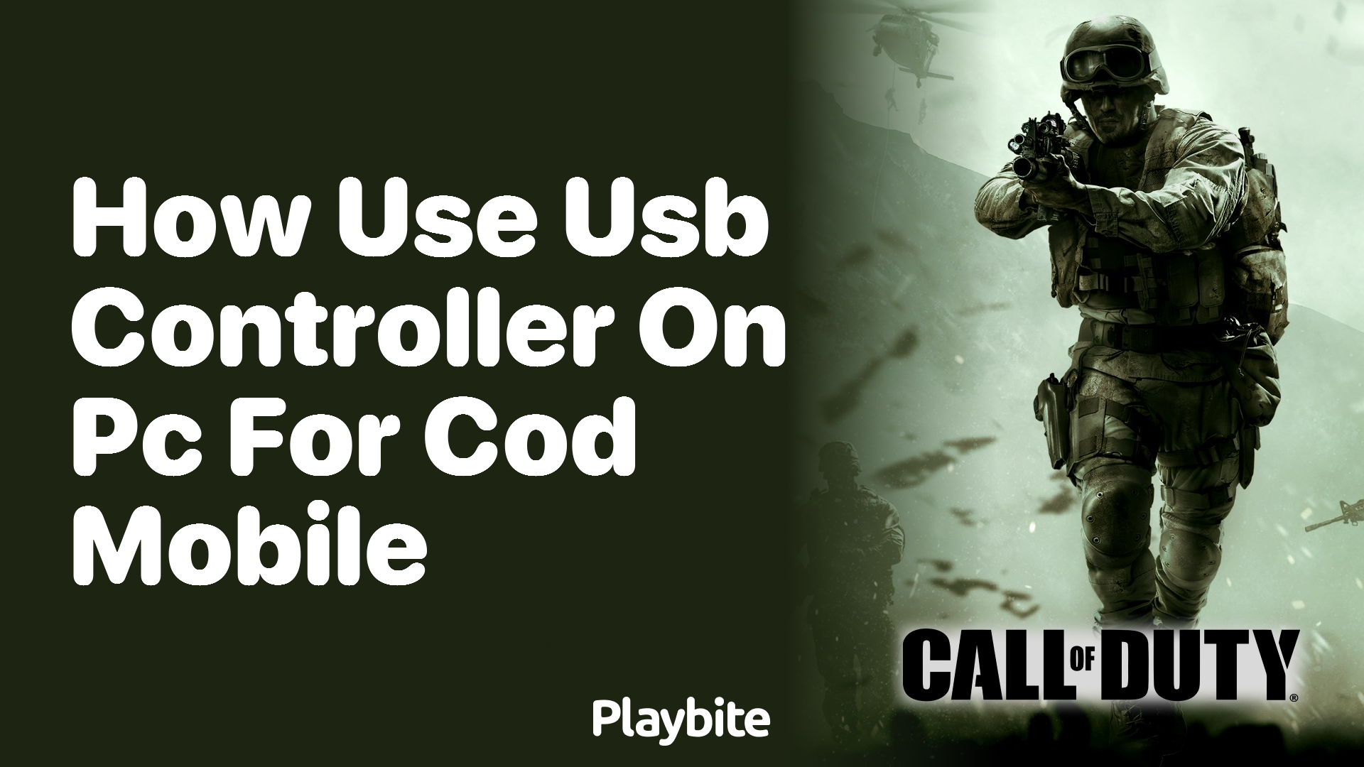 How to Use a USB Controller on PC for COD Mobile - Playbite