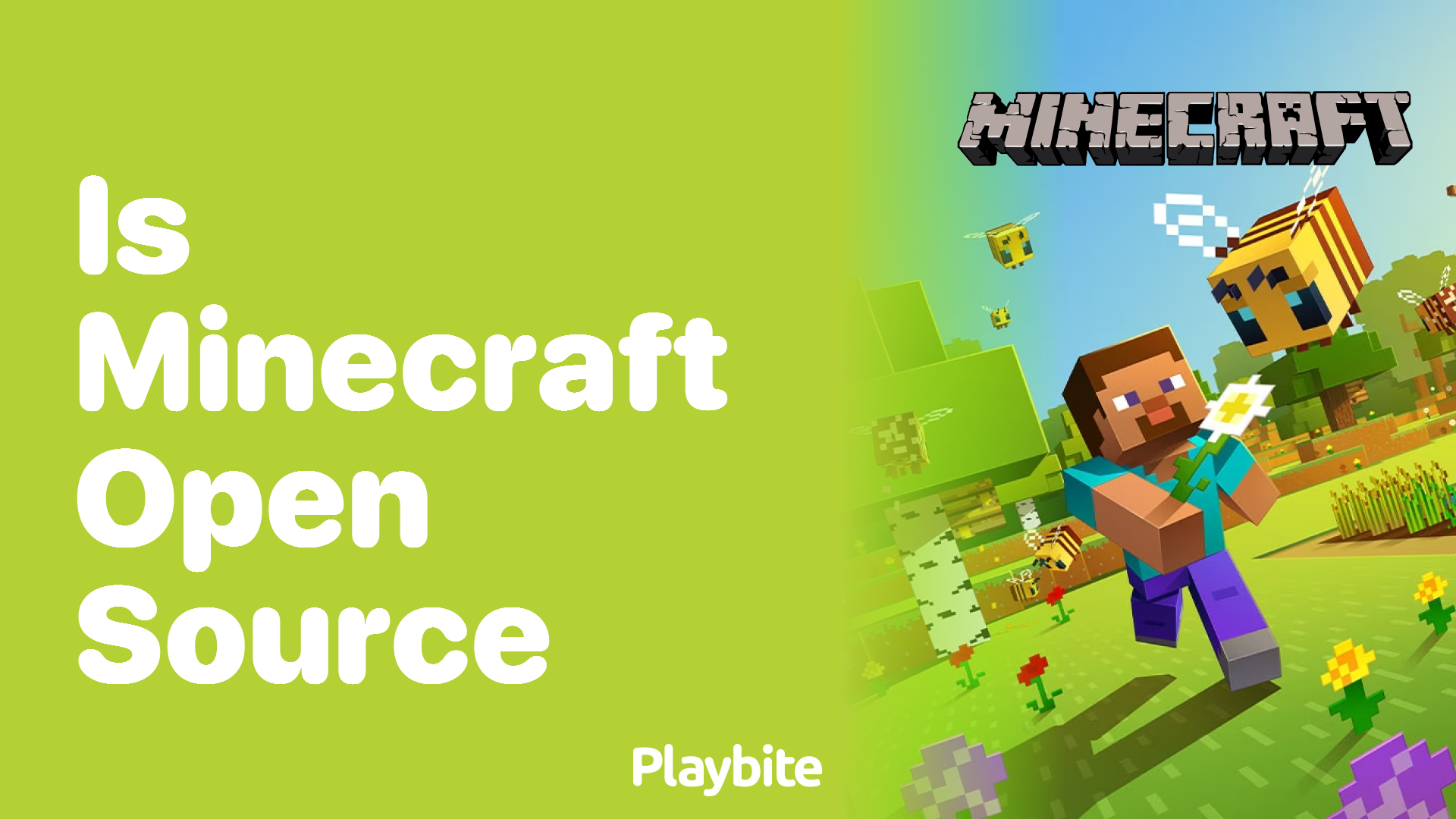 Is Minecraft Open Source? Let's Find Out! - Playbite