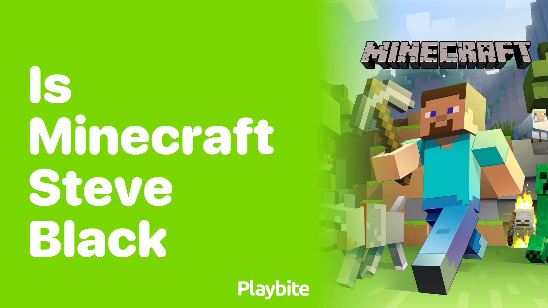 Is Minecraft Steve Black? - Playbite