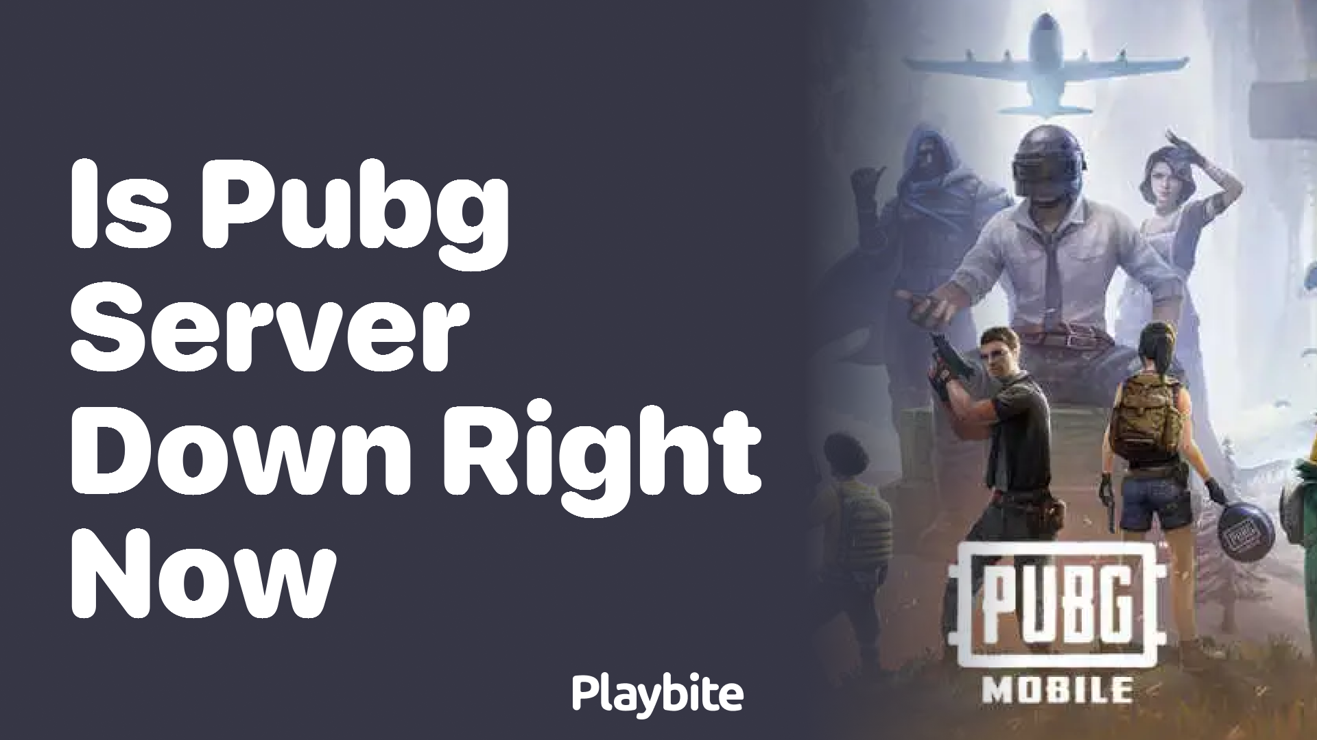 Is the PUBG Server Down Right Now? Let's Find Out - Playbite