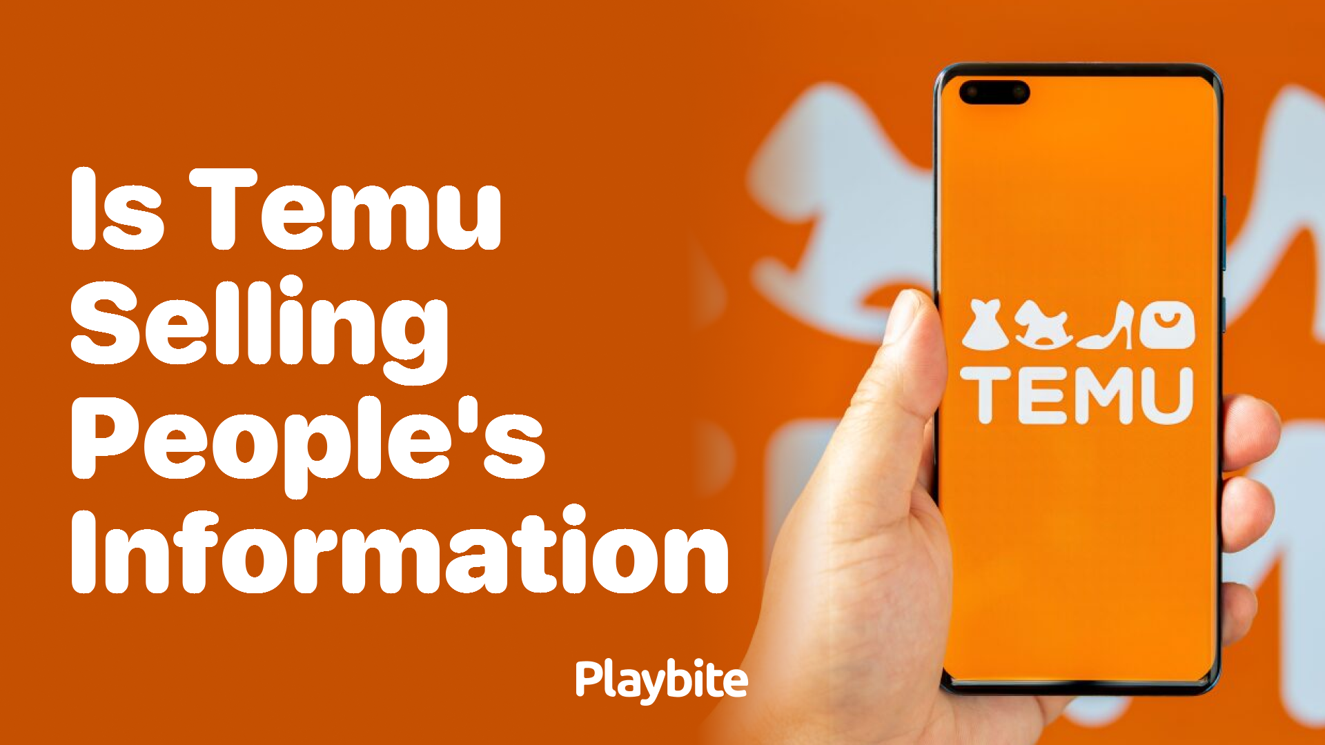 Is Temu Selling People's Information? Let's Find Out! - Playbite