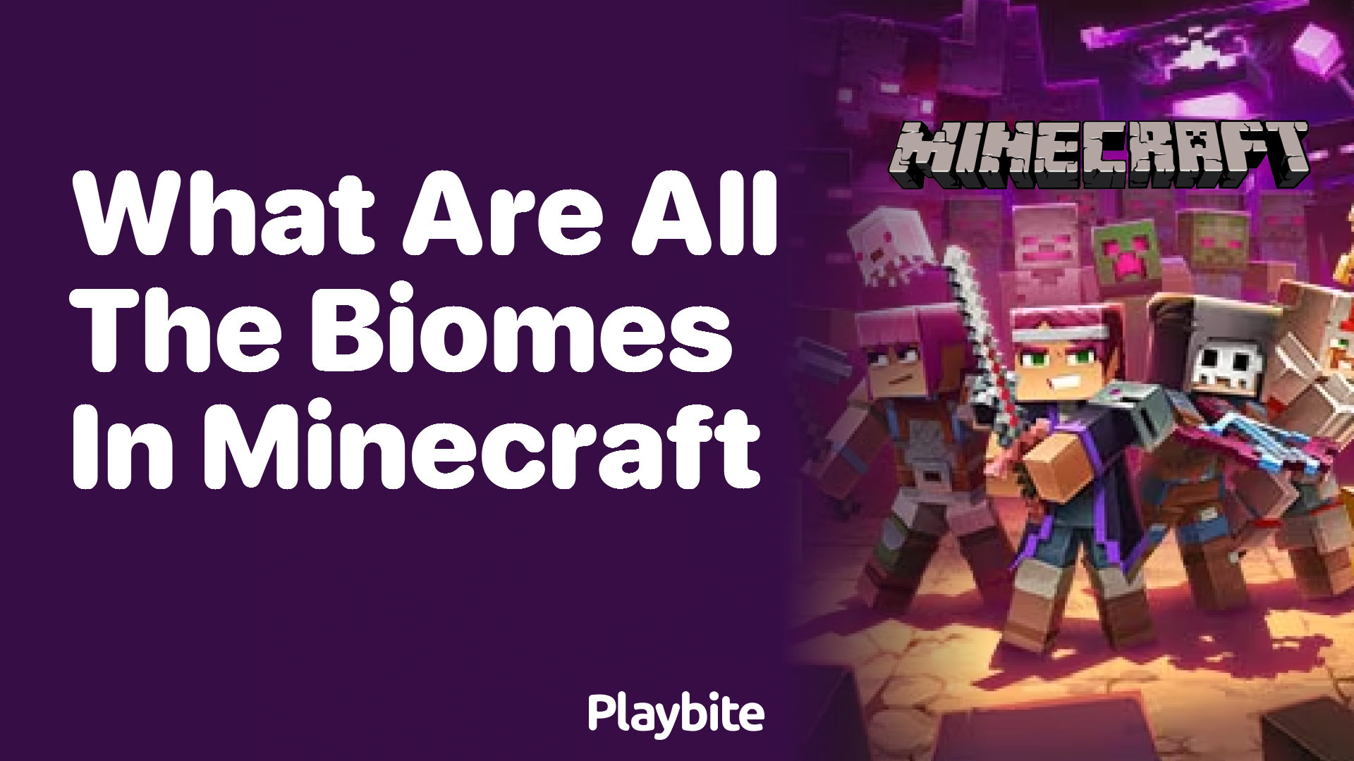 What Are All the Biomes in Minecraft? - Playbite