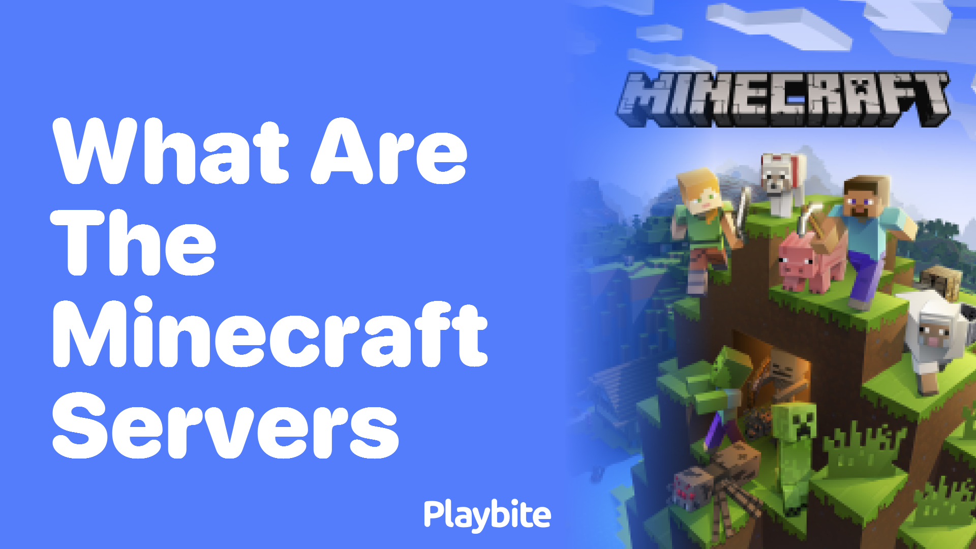 What Are the Minecraft Servers? Exploring Multiplayer Gaming - Playbite