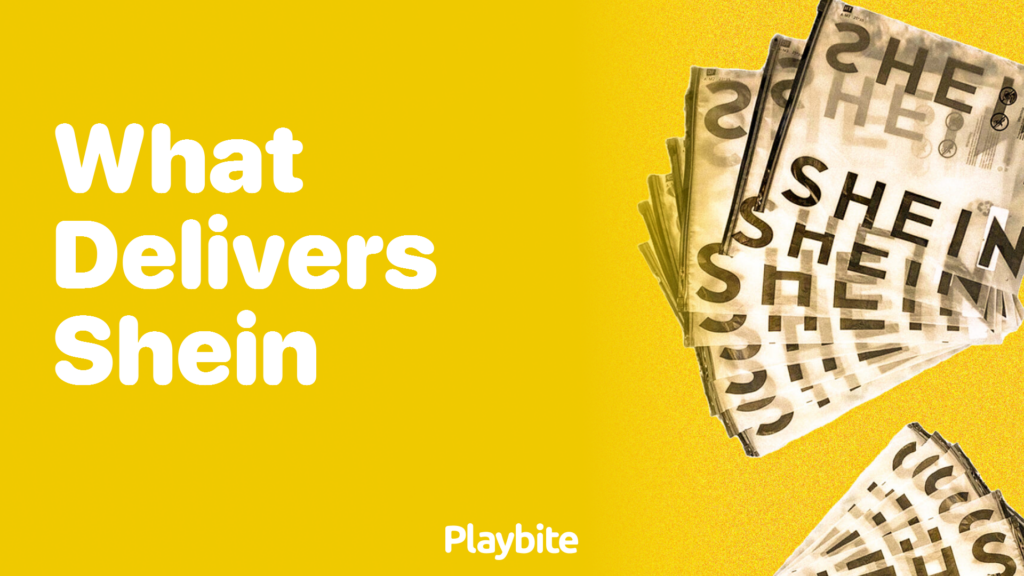 What Delivers SHEIN? Unveiling the Delivery Process - Playbite