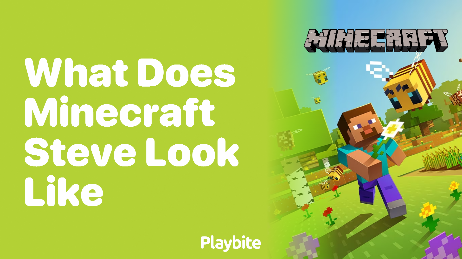 What Does Minecraft Steve Look Like? Unveiling the Iconic Character - Playbite