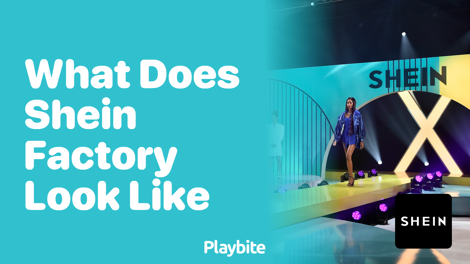 What Does the SHEIN Factory Look Like? Unveiling the Mystery - Playbite