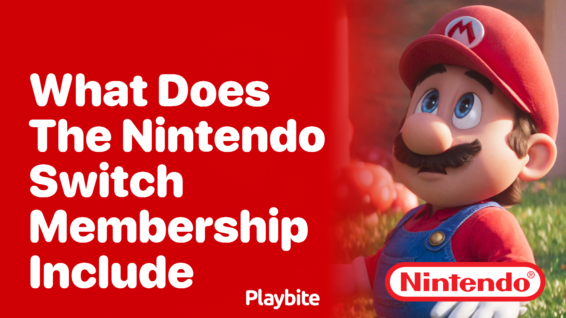 What Does the Nintendo Switch Membership Include? - Playbite