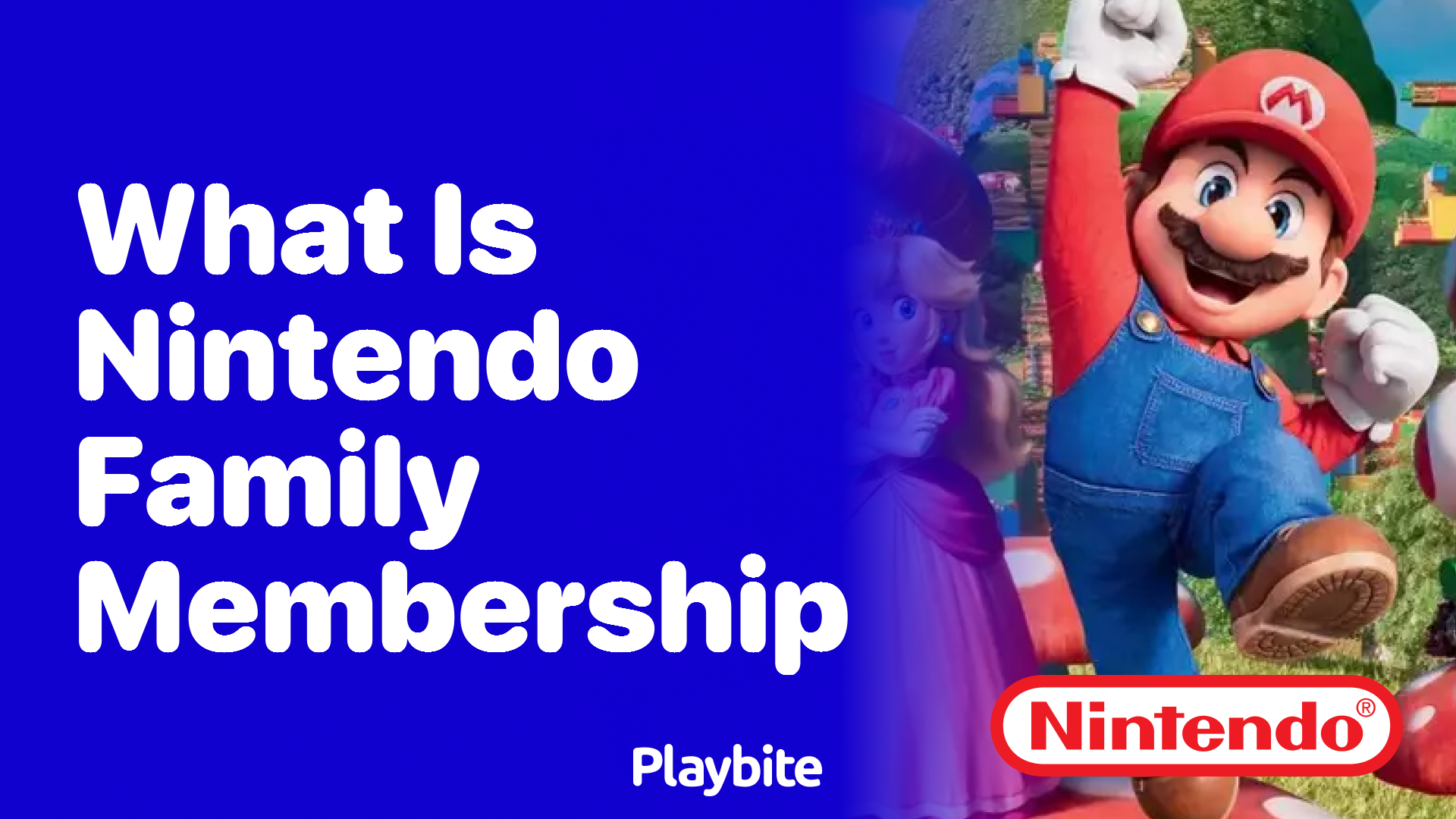 What is Nintendo Family Membership? - Playbite