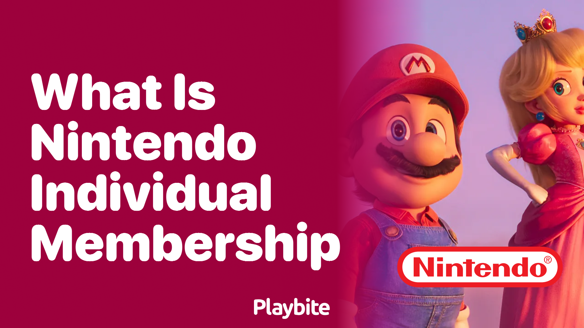 What Is Nintendo Individual Membership? - Playbite