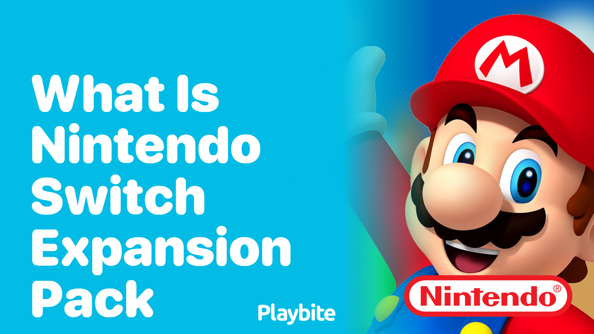 What Is the Nintendo Switch Expansion Pack? - Playbite