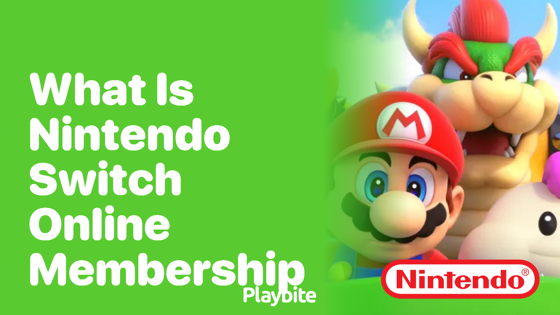 What Is Nintendo Switch Online Membership? - Playbite