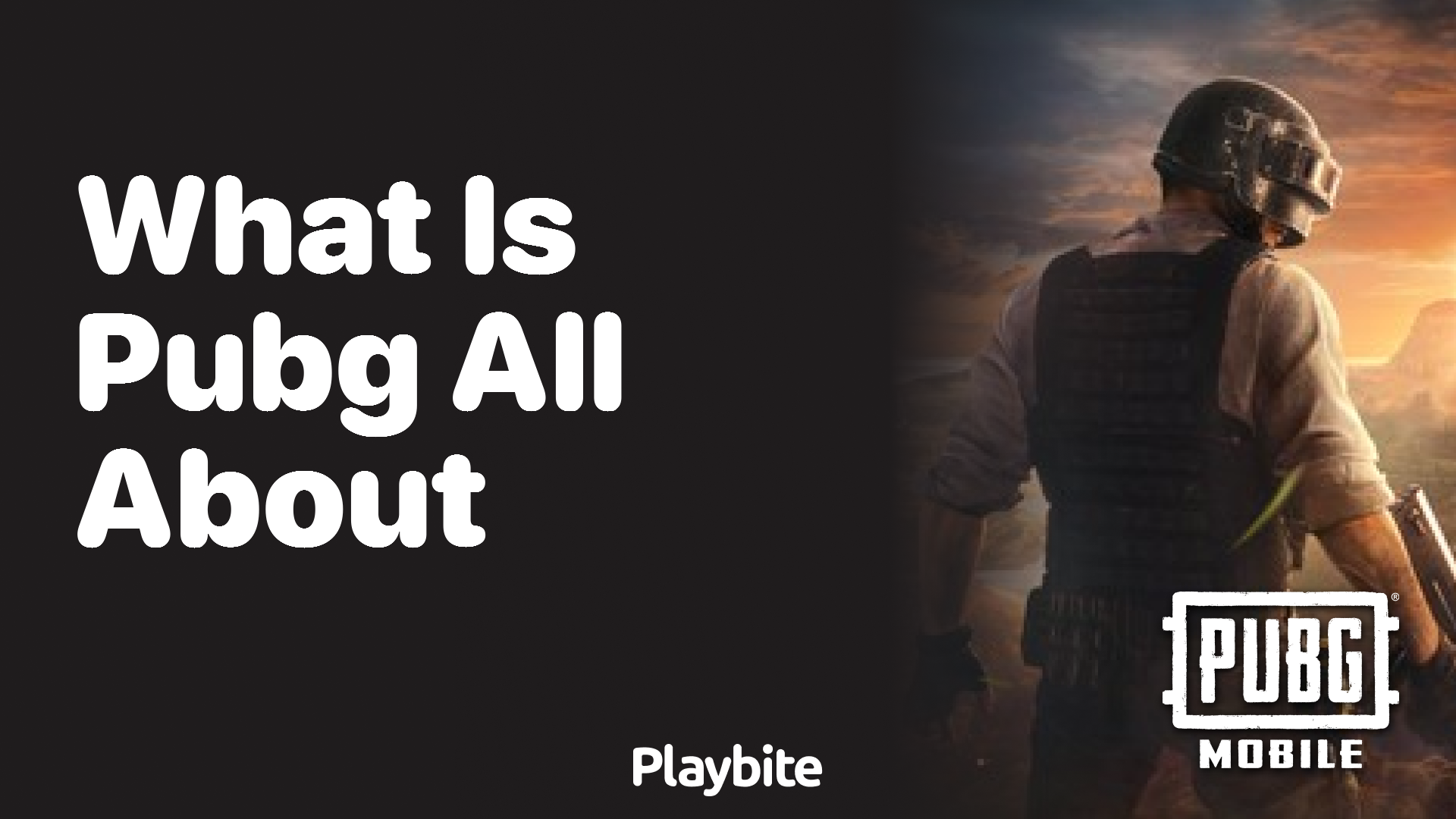 What is PUBG All About? An Exciting Dive Into the Game! - Playbite
