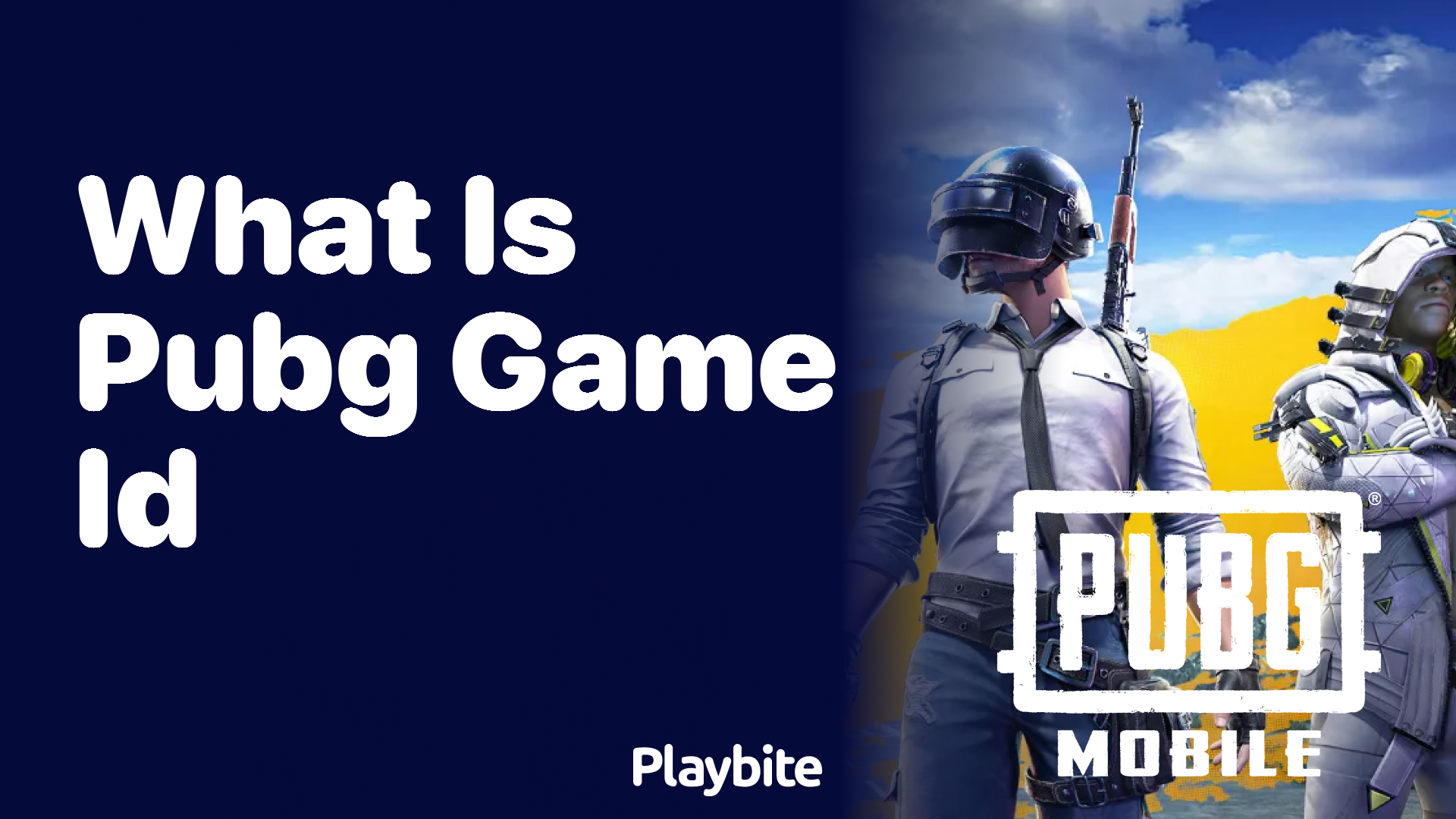 What is a PUBG Game ID and How Do You Find Yours? - Playbite