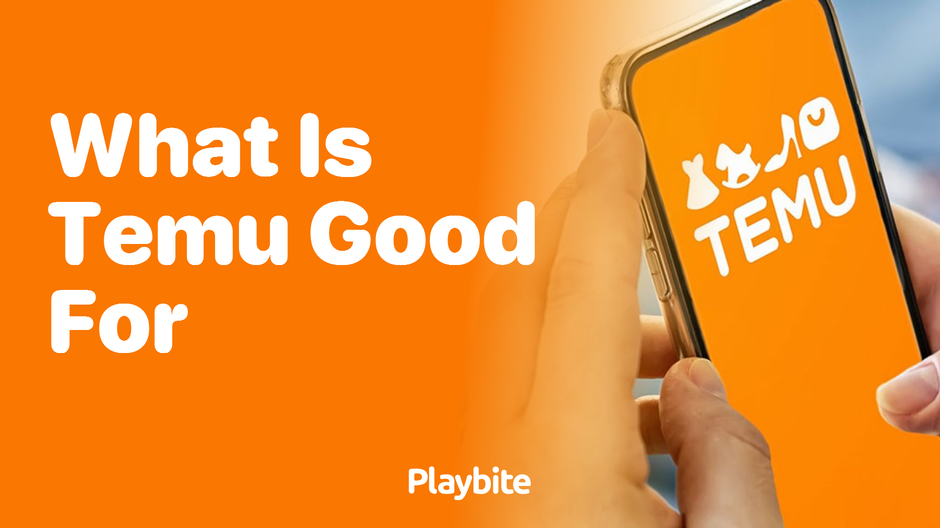 What is Temu Good For? Discover the Value of Shopping on Temu - Playbite