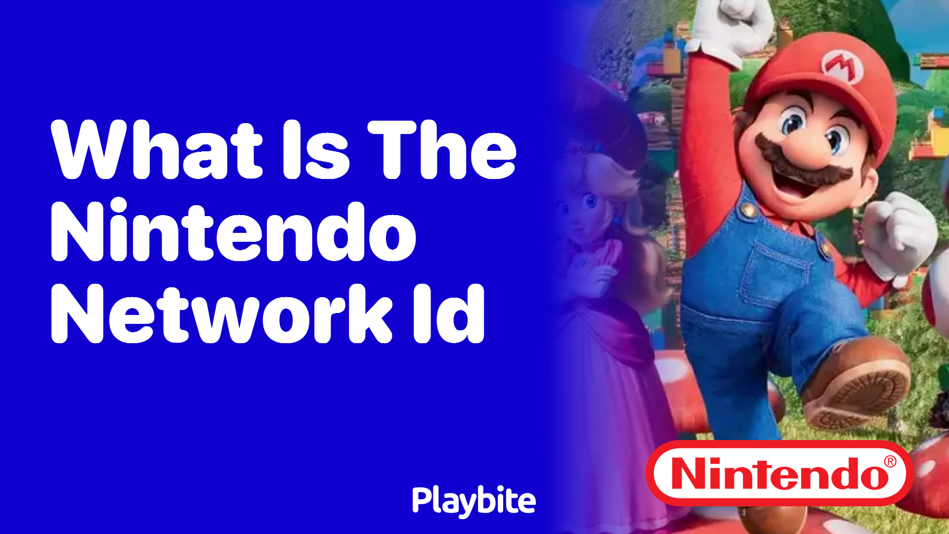 What Is the Nintendo Network ID? - Playbite