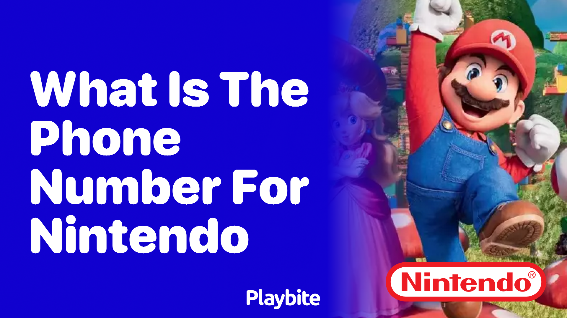 What Is the Phone Number for Nintendo? - Playbite
