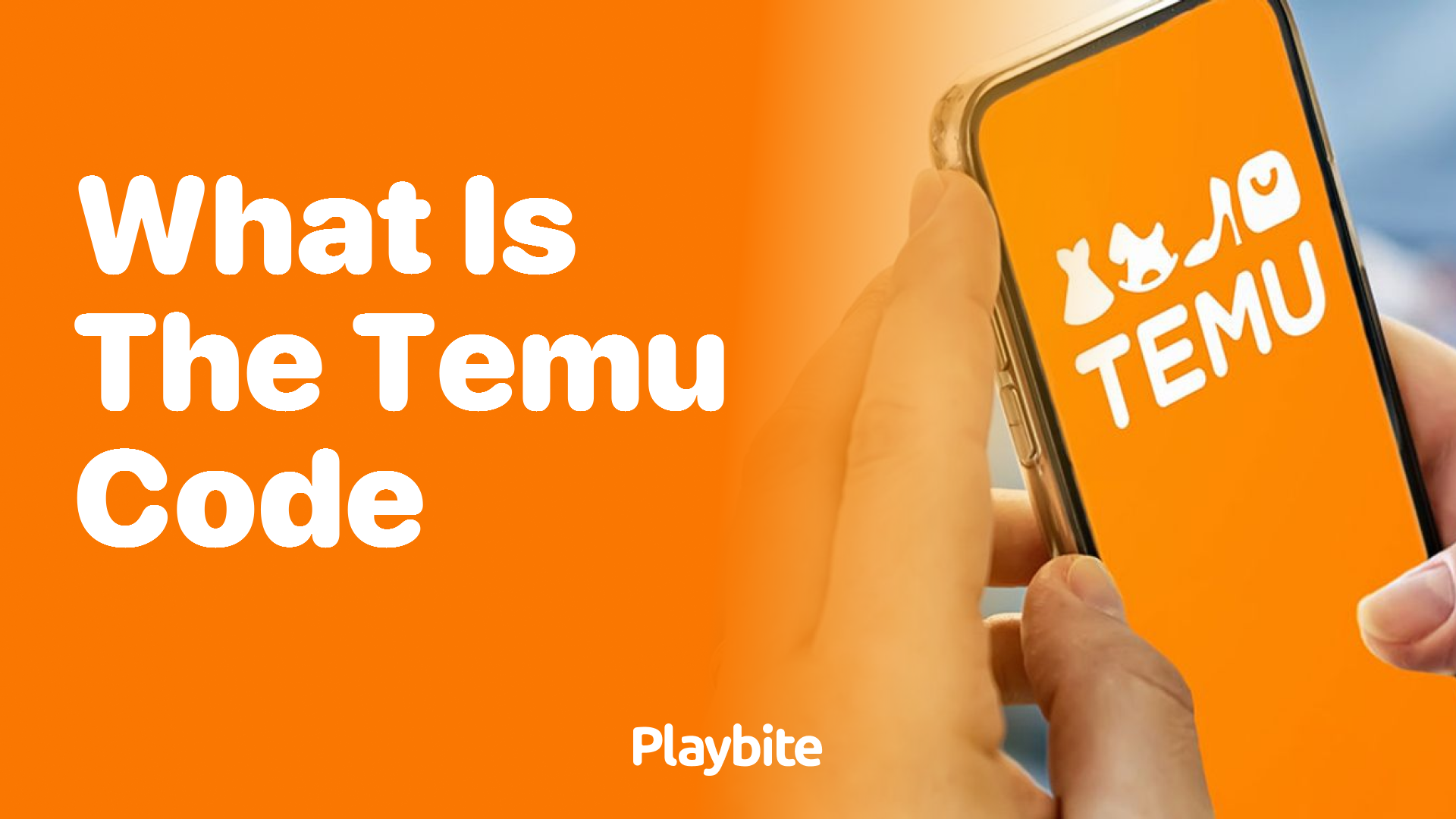 What is the Temu Code? Unwrapping the Mystery - Playbite