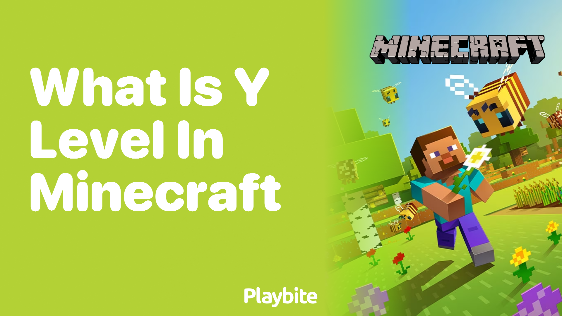 What Is Y Level in Minecraft? - Playbite
