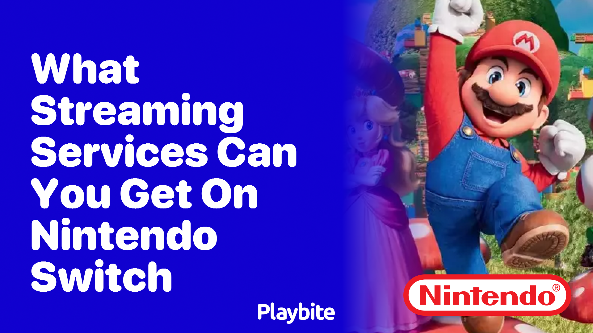 What Streaming Services Can You Get on Nintendo Switch? - Playbite