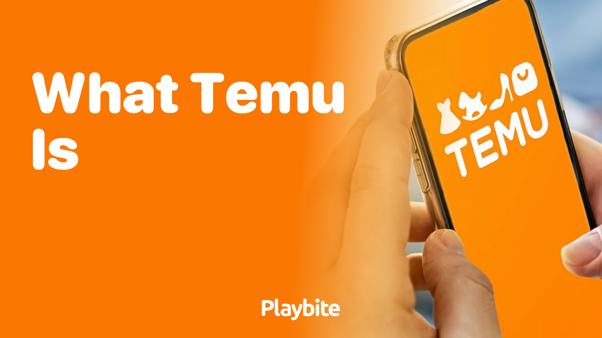 What Is Temu and Why Is It So Popular? - Playbite