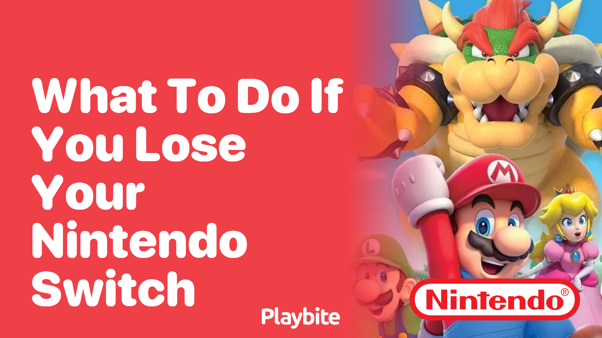 What to Do if You Lose Your Nintendo Switch - Playbite