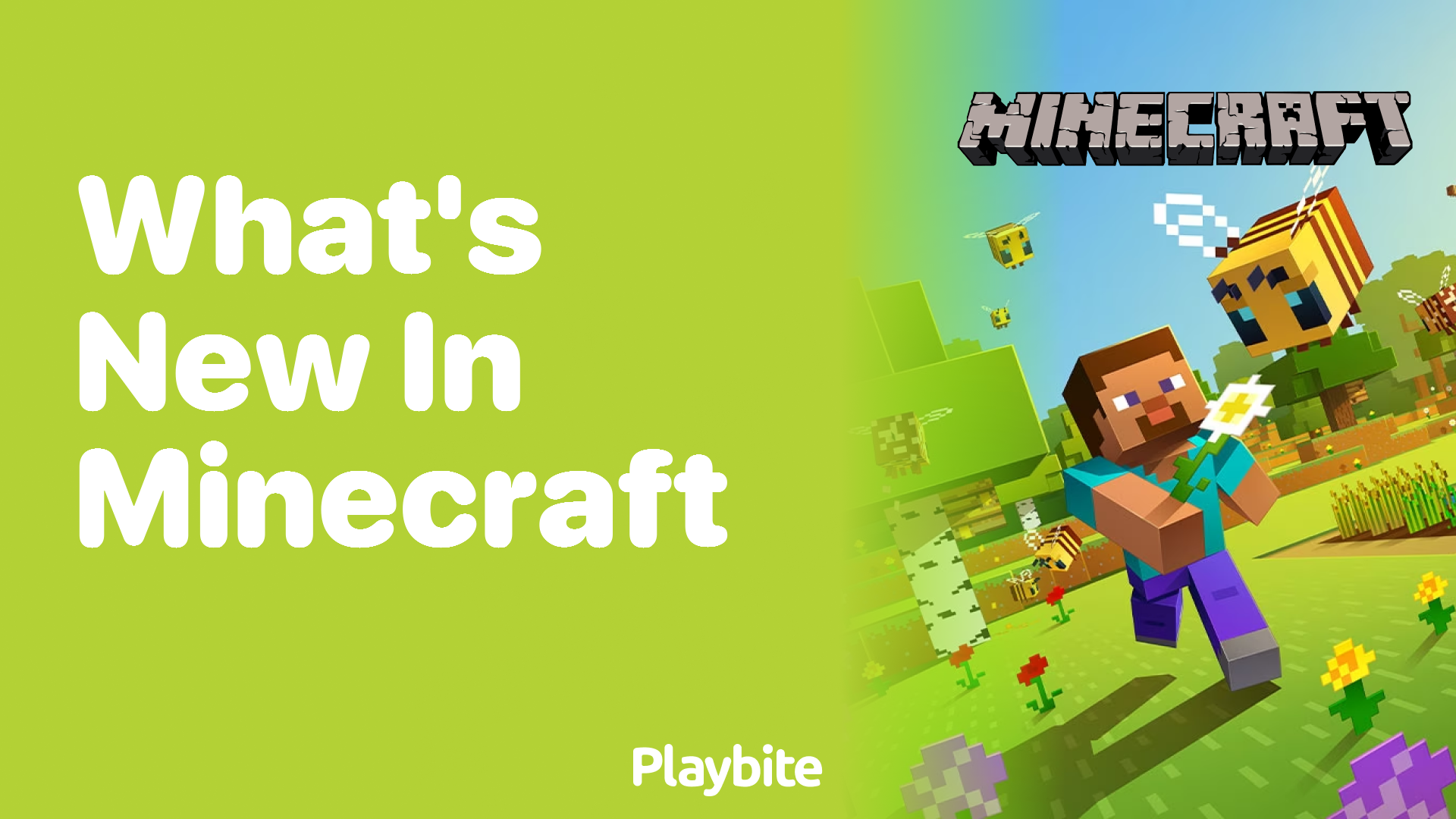 What's New in Minecraft: Discover the Latest Updates! - Playbite